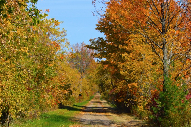 Michigan Trails | Michigan Trails Magazine, Home Page